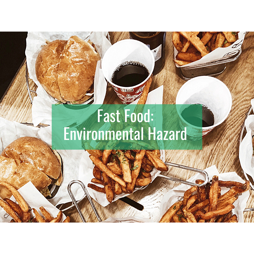 Fast Food: Environmental Hazard – Garbags