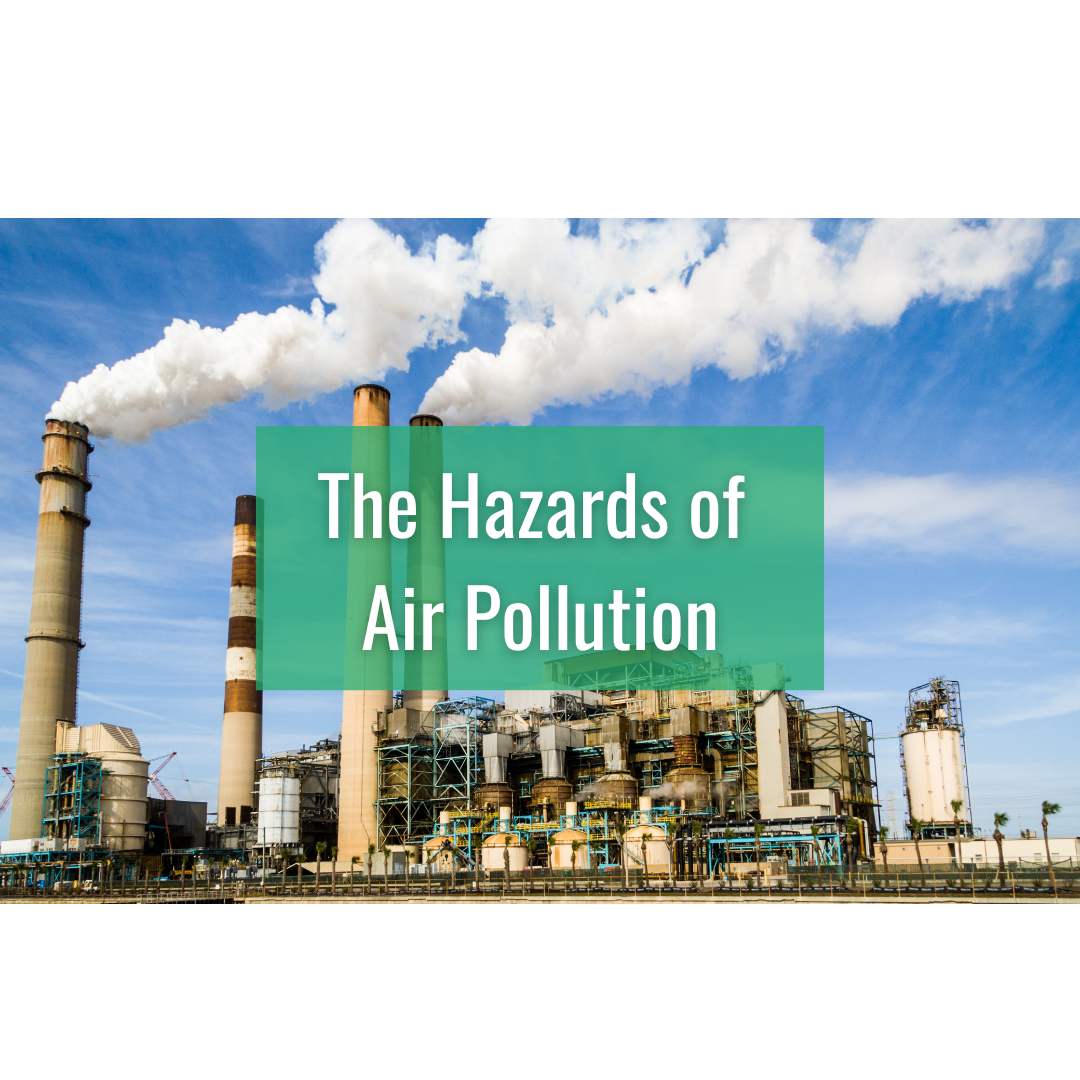 The Hazards of Air Pollution – Garbags